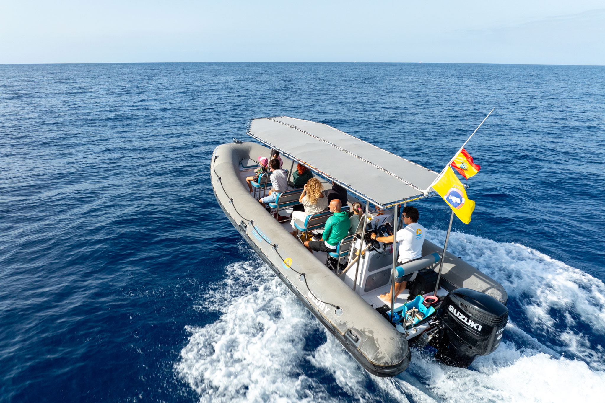 Whale Watching Boat - Whale Watch Tenerife
