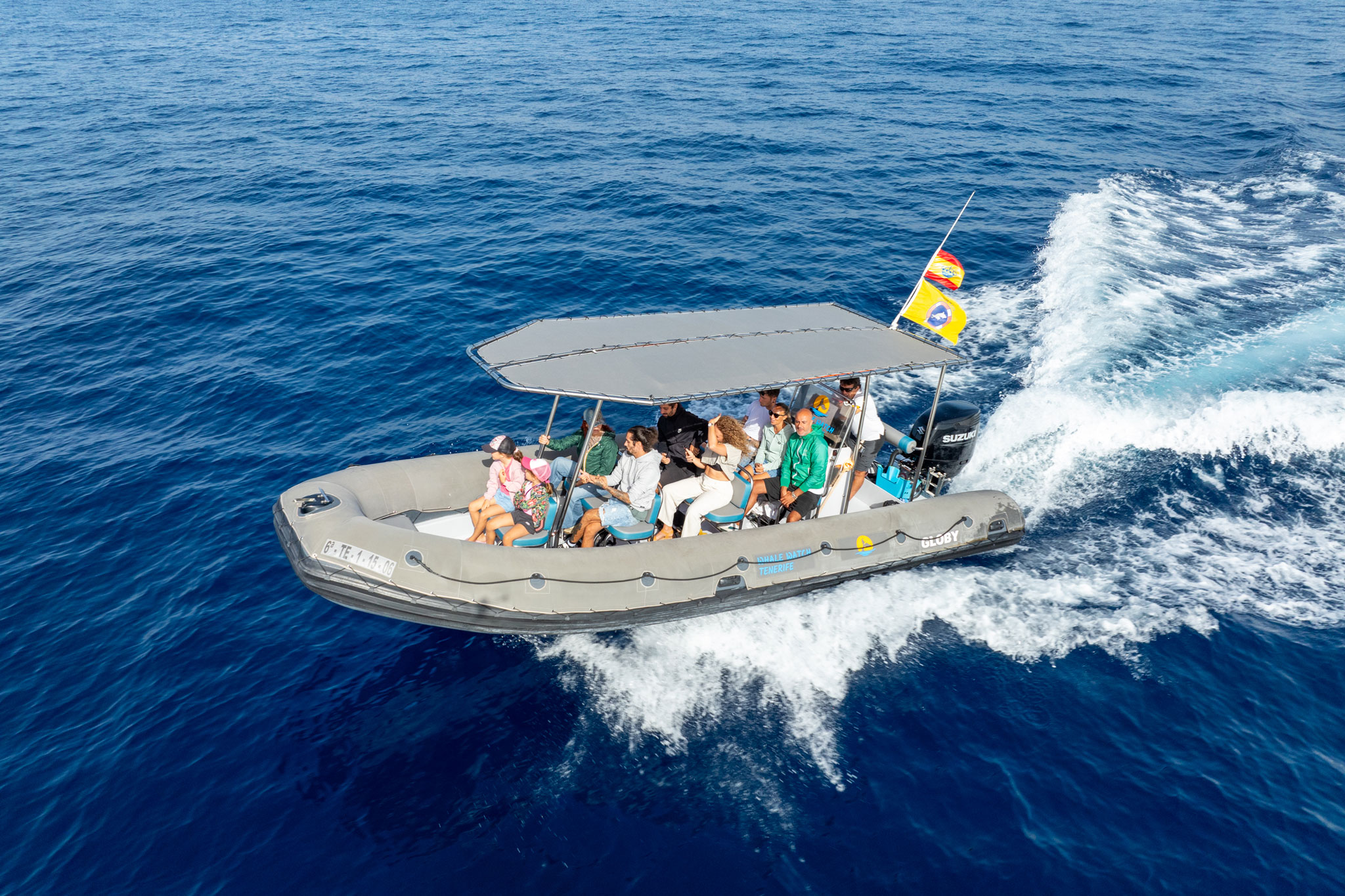 Whale Watching Boat - Whale Watch Tenerife