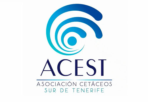 Historia - Whale Watch Tenerife